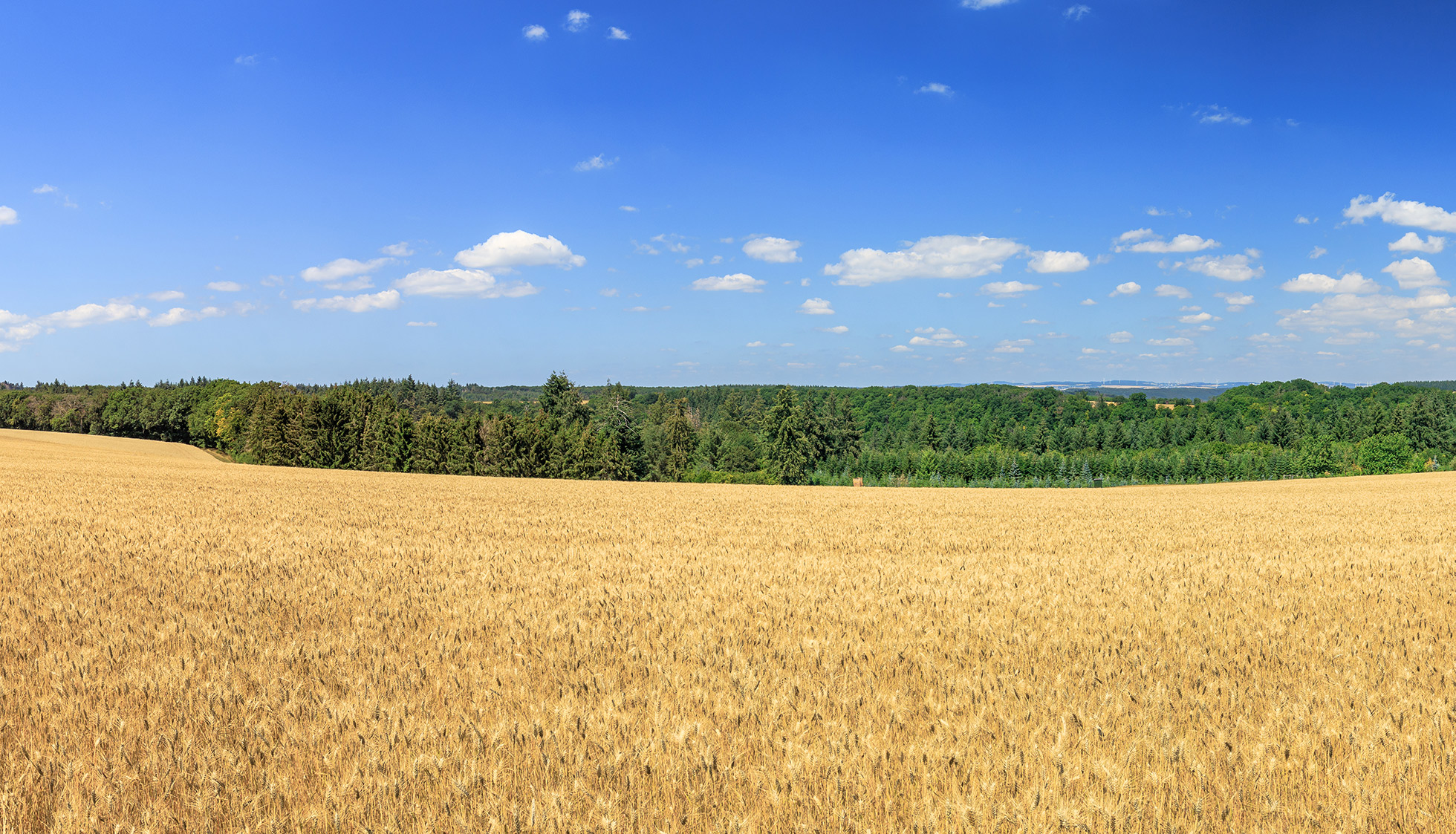 Sosberg | mobilet.de